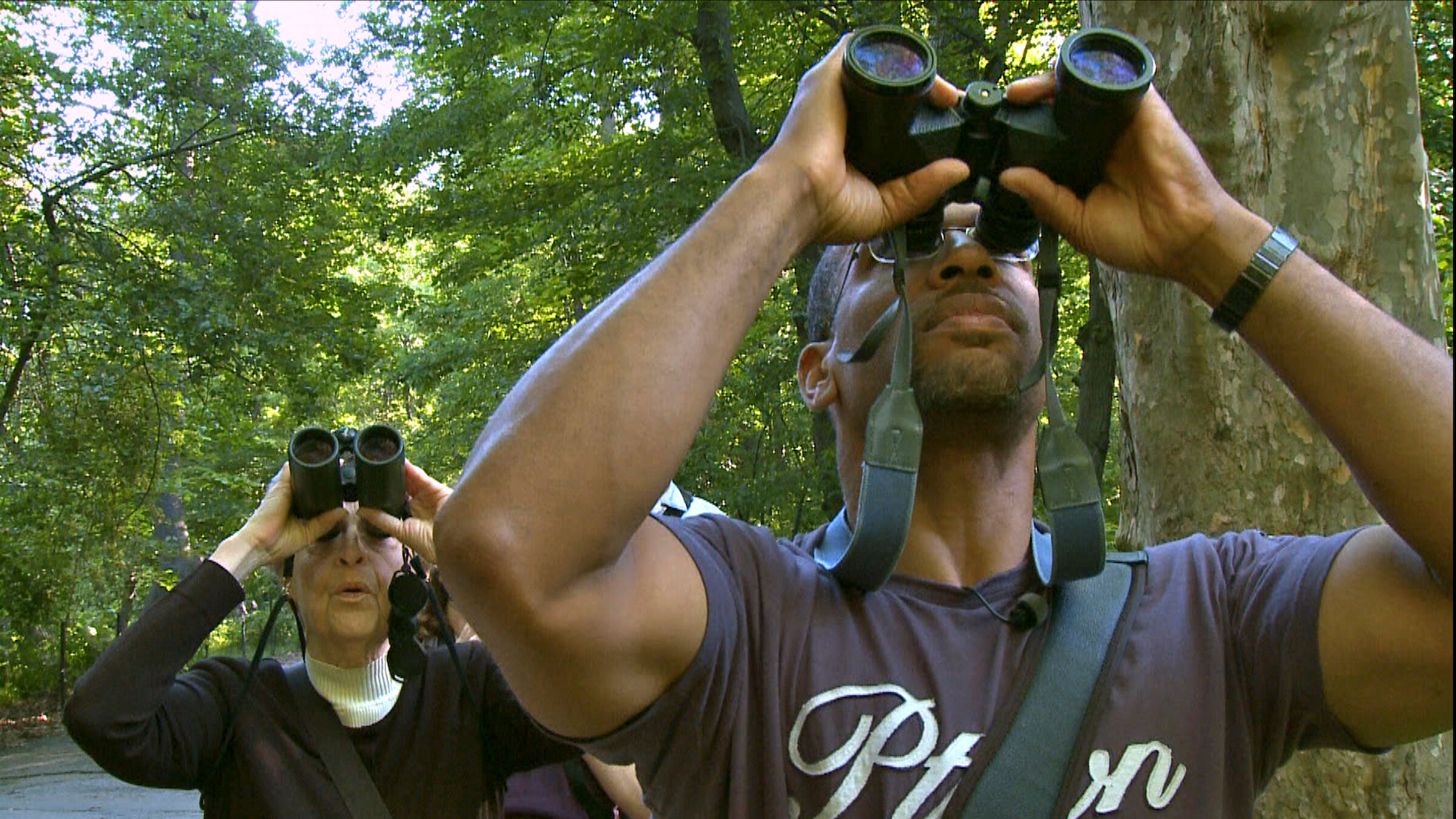 Watch Birders: The Central Park Effect | Netflix